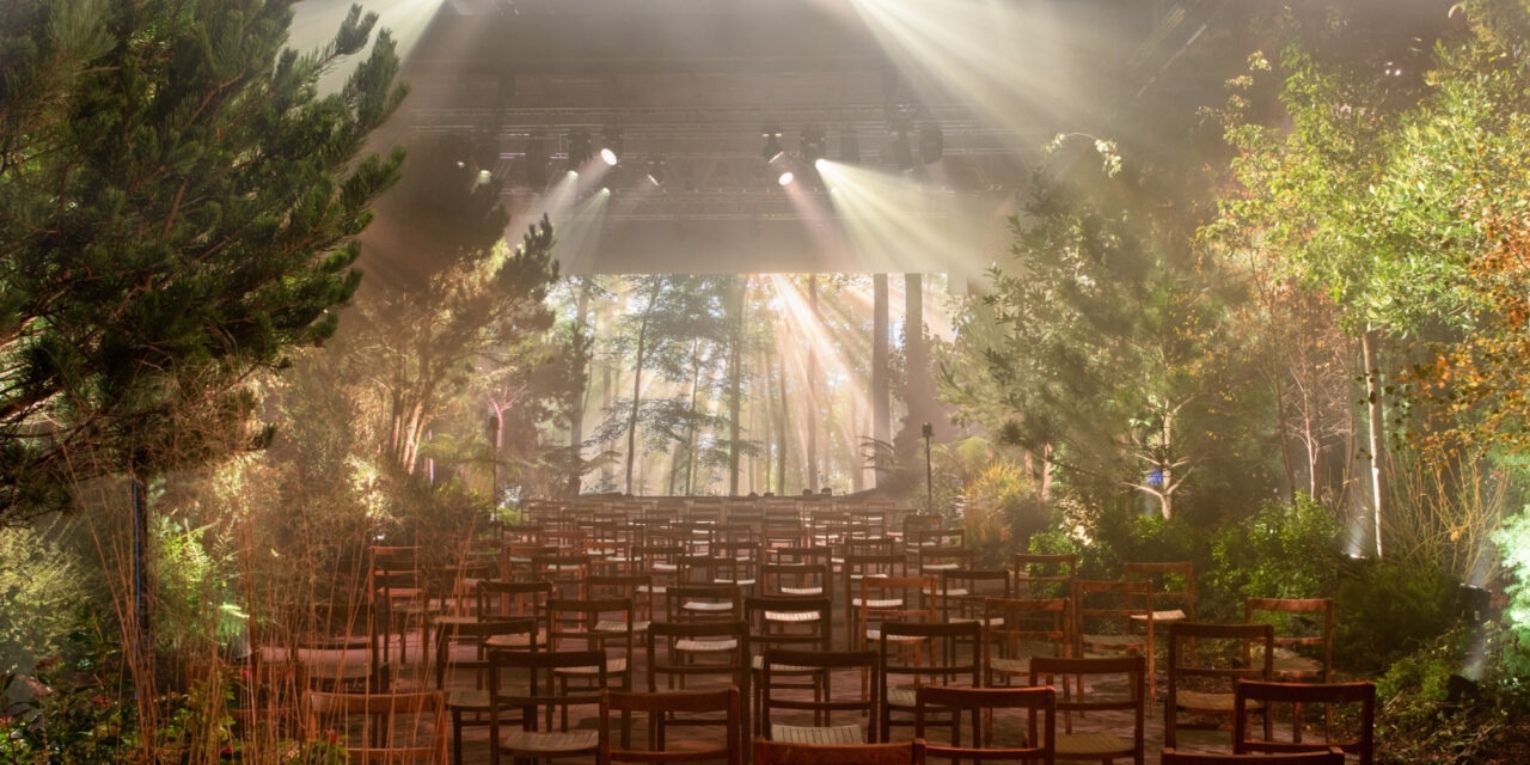 The Conference of the Trees: Making a Statement with Greenery