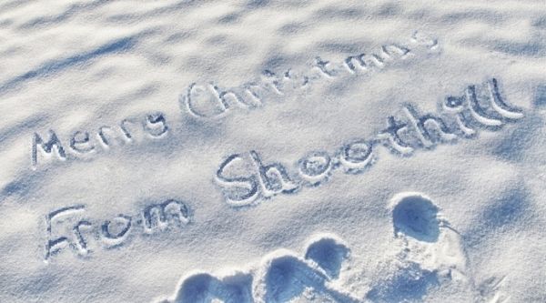 Shoothill 2021: A Year In Review