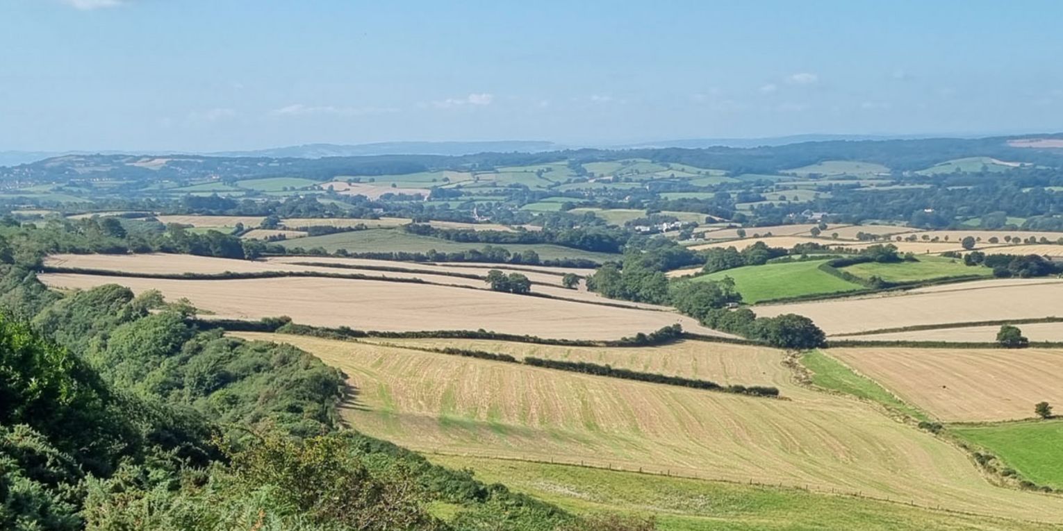 ELMS – More Options, Improved Payments and Speed-up of Roll Out