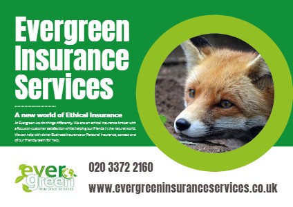 Evergreen Insurance Services Brochure