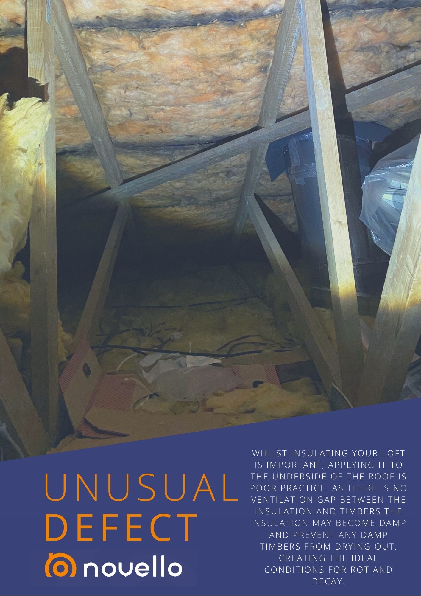 Unusual Defect - Loft Insulation