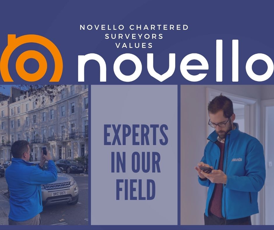 Experts in our Field