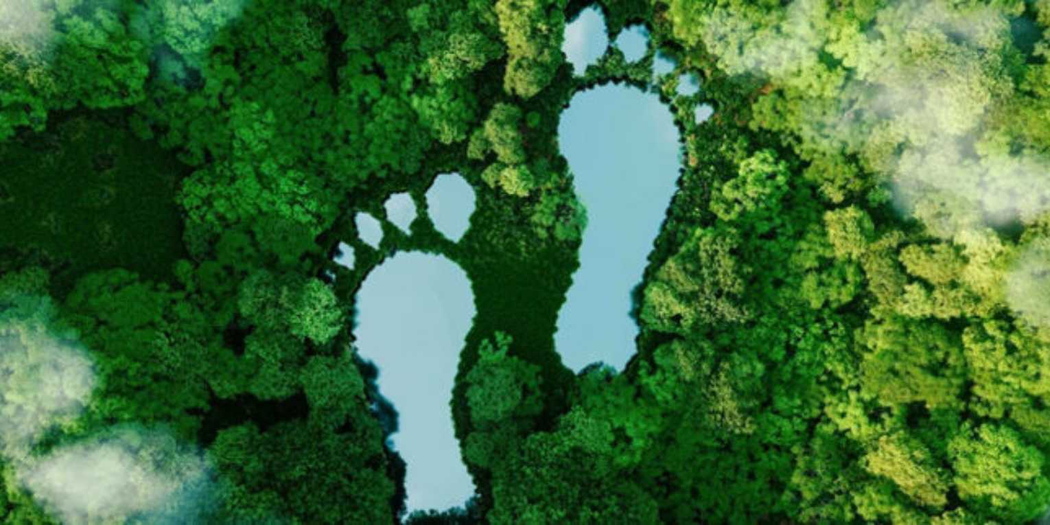 Byggfakta UK Awarded Carbon Neutral Status